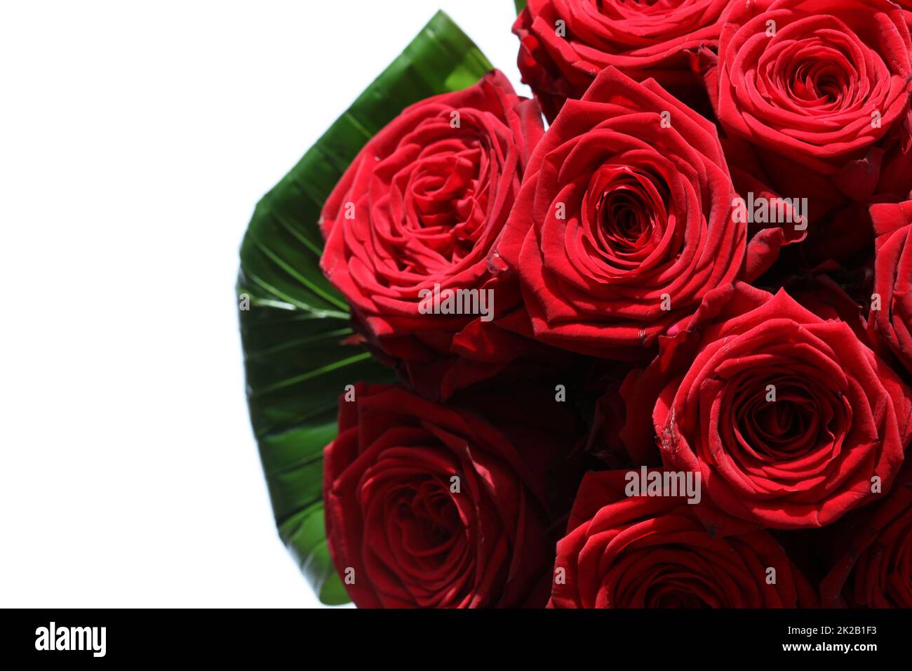 Bunch red roses bouquet hi-res stock photography and images - Alamy