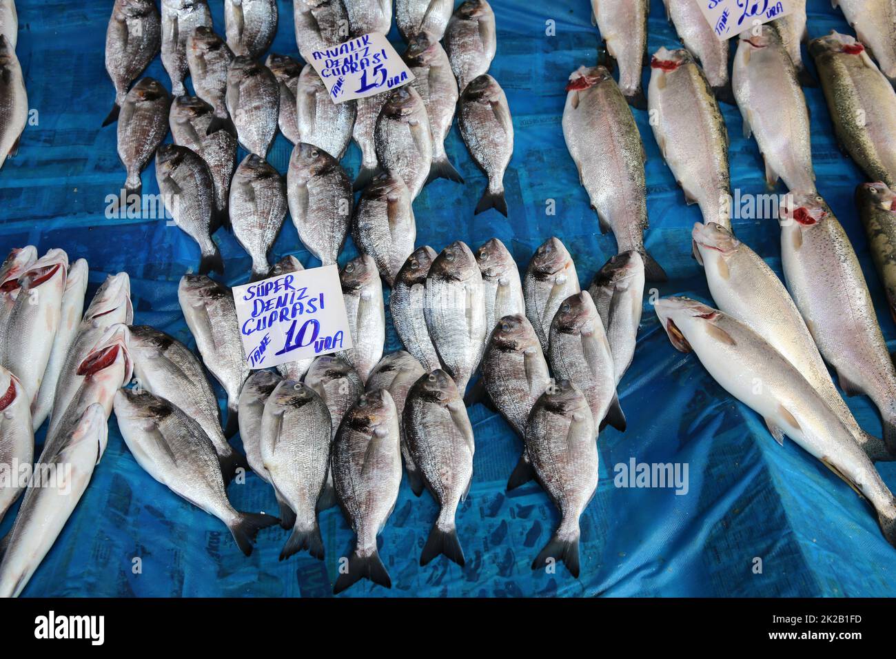 Fish Market in Istanbul. Turkey Stock Photo - Alamy