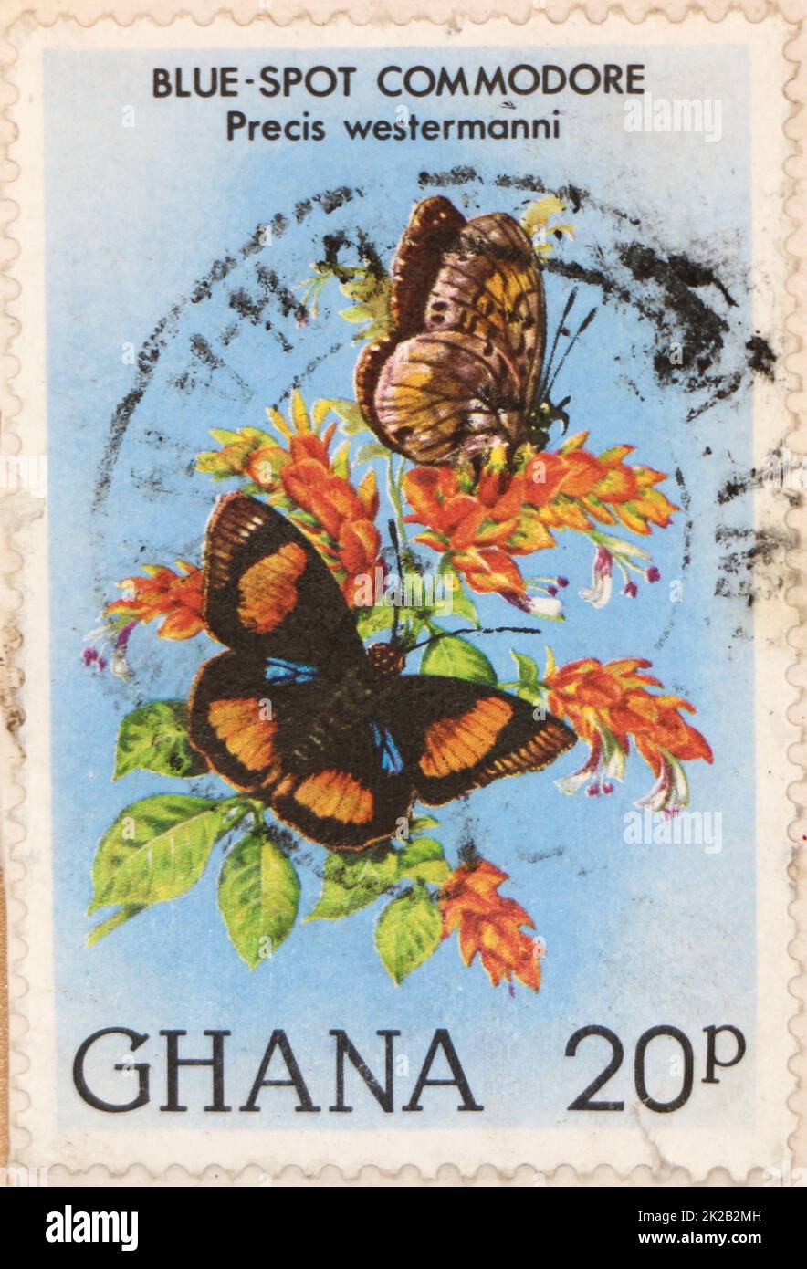 Photo of a postage stamp from Ghana with an illustration of Blue-Spot ...