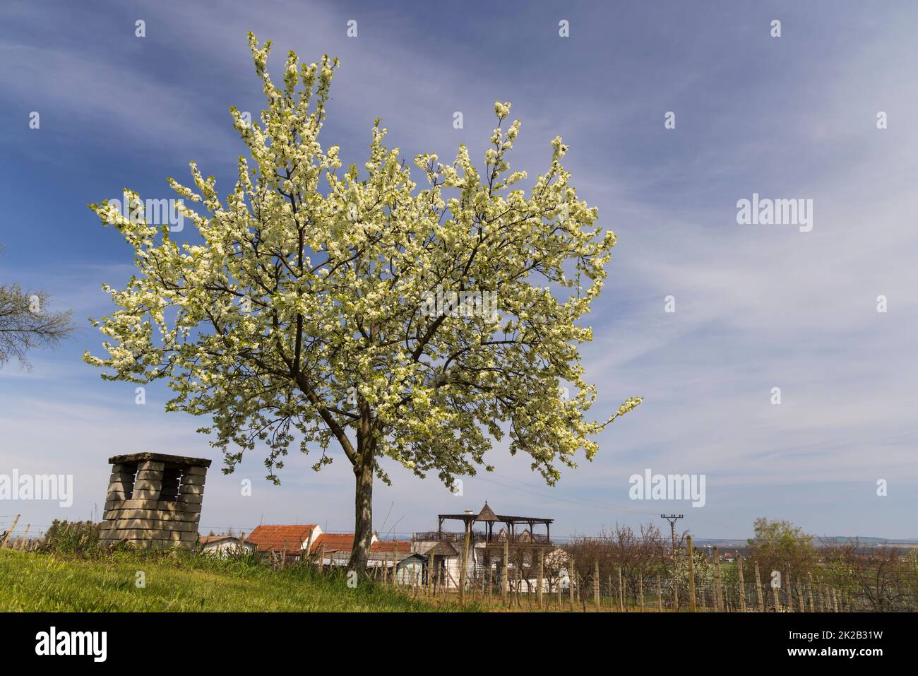Czech spring hi-res stock photography and images - Alamy
