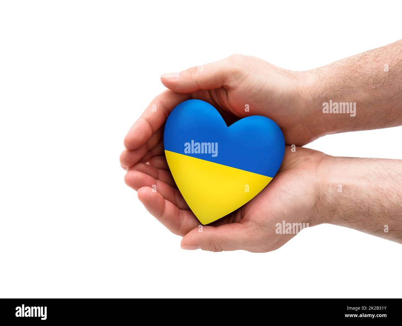 Ukrainian heart in hands isolated on white background with clipping ...