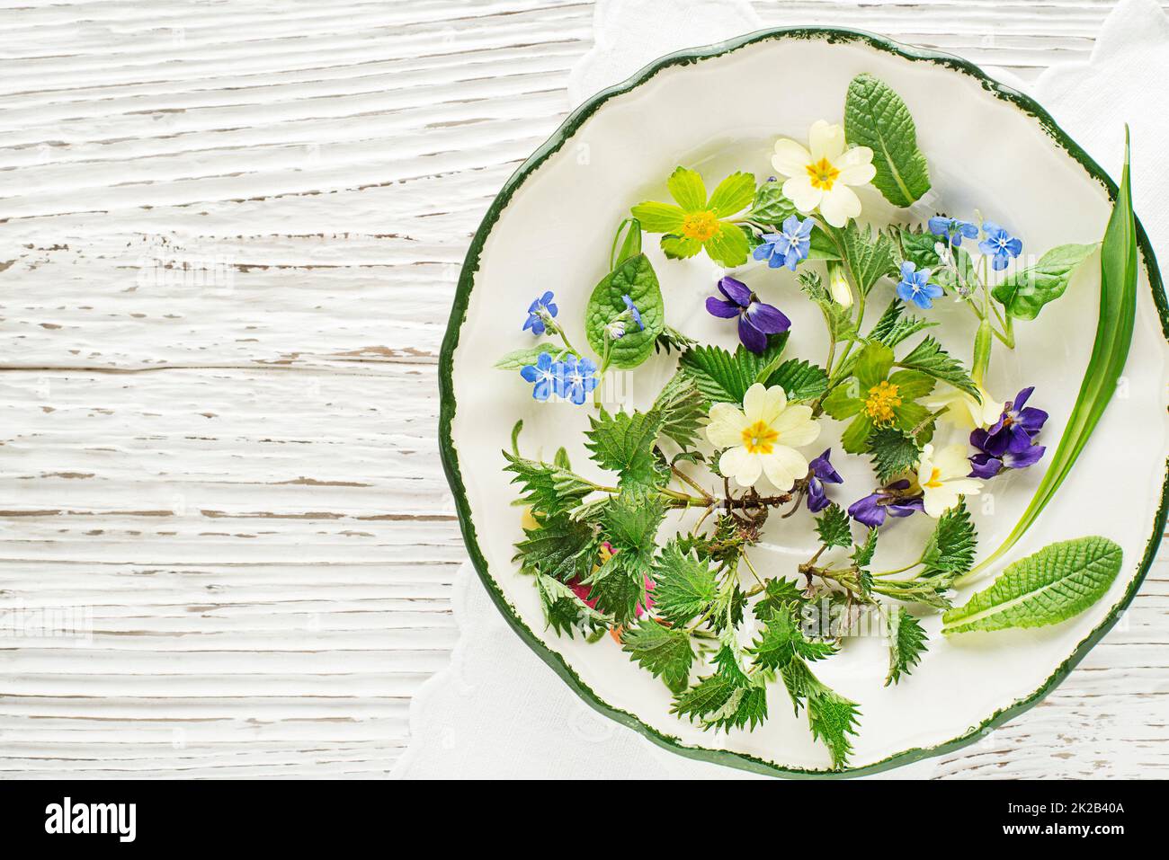 Healthy spring plants Stock Photo - Alamy