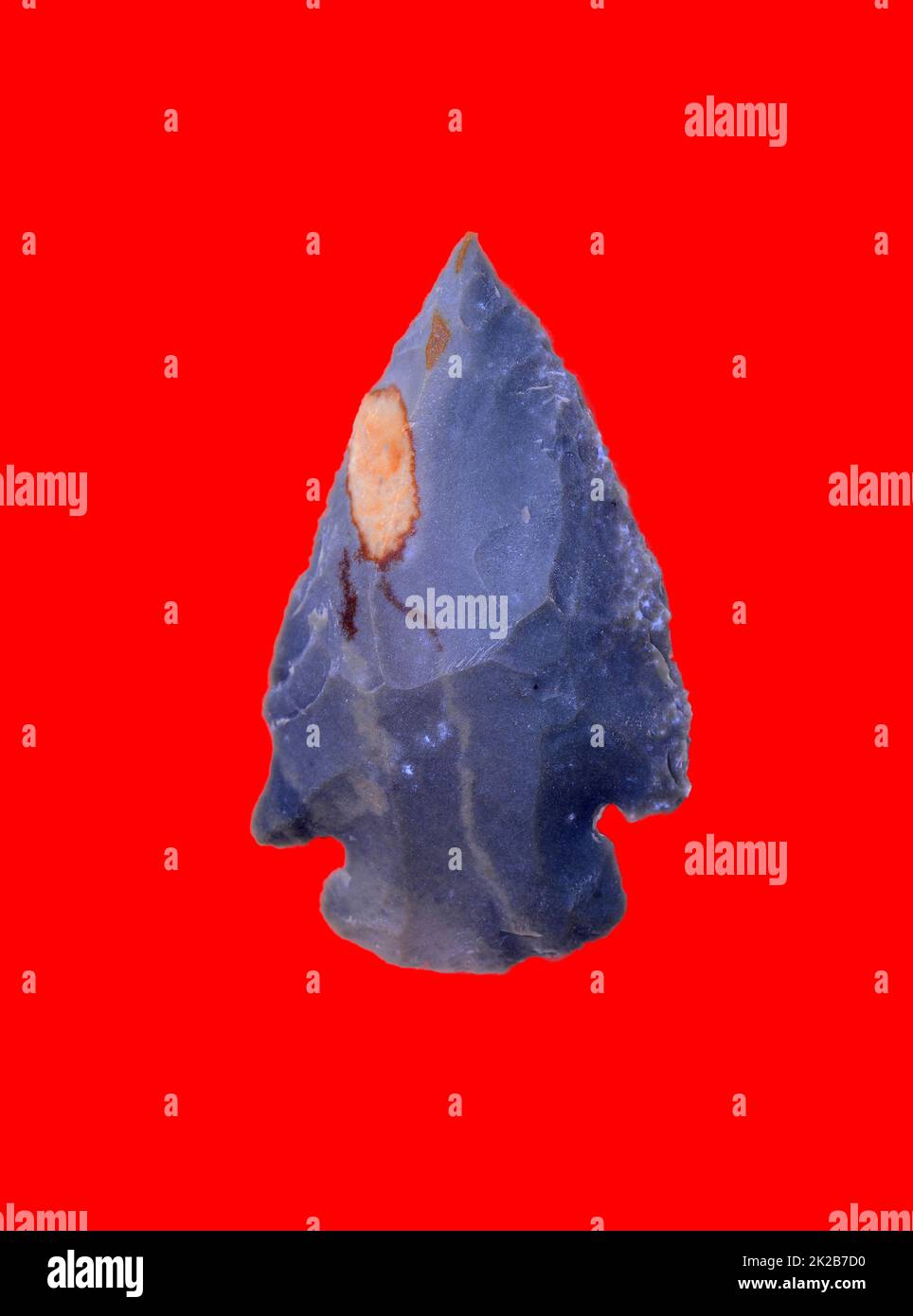 Indian arrowhead hi-res stock photography and images - Alamy