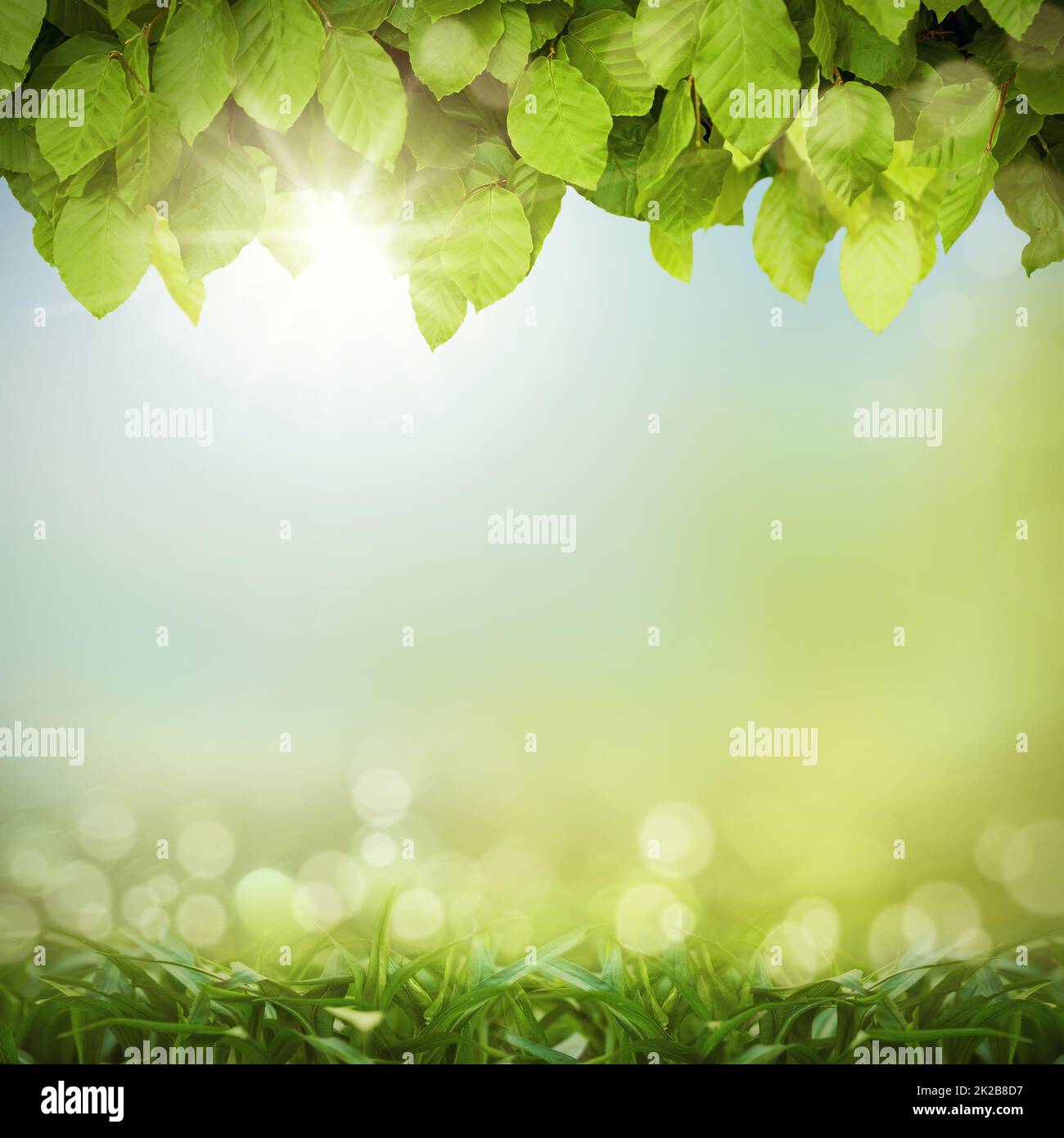 Composite plants hi-res stock photography and images - Alamy