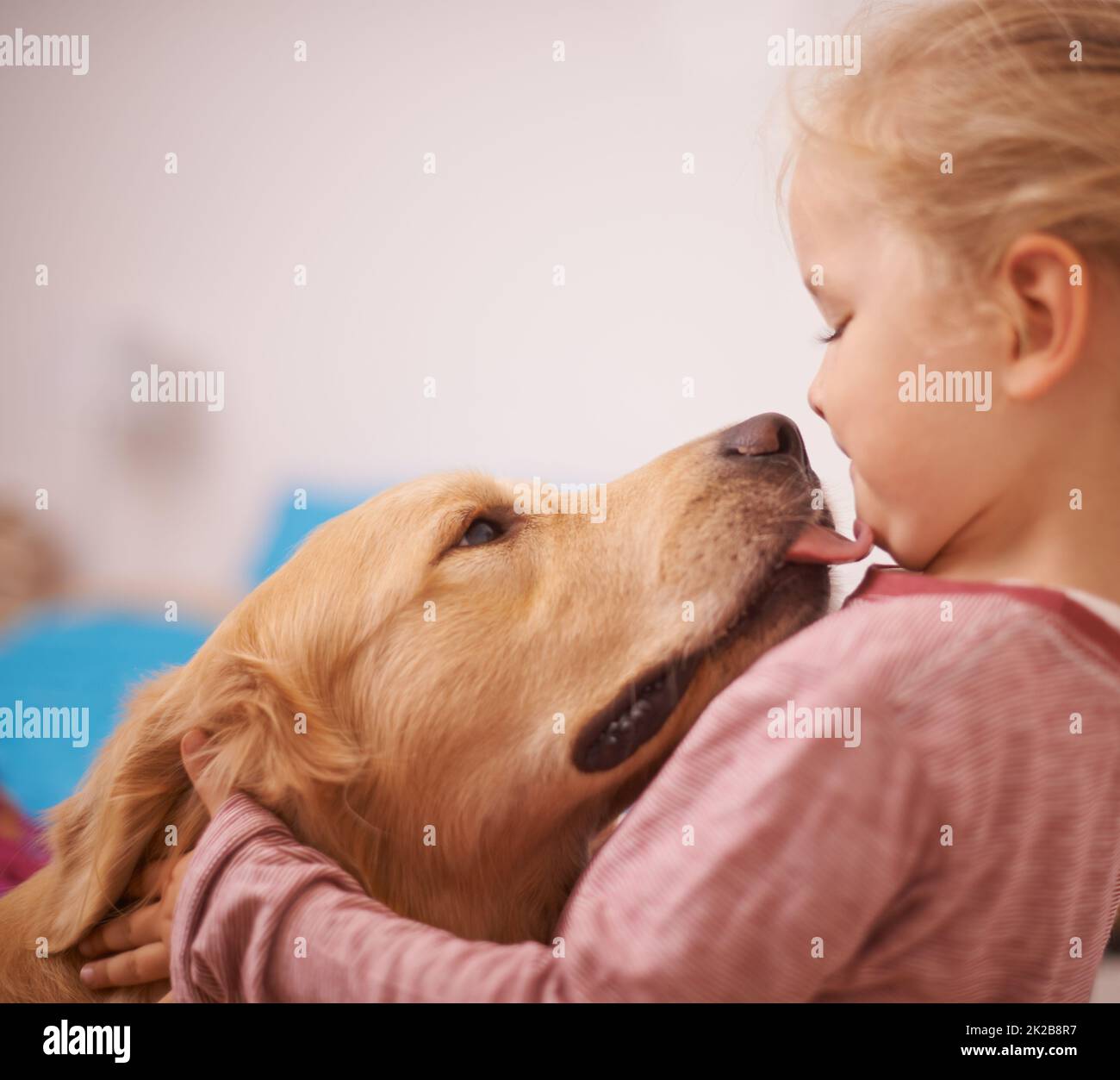 Licking face hi-res stock photography and images - Alamy