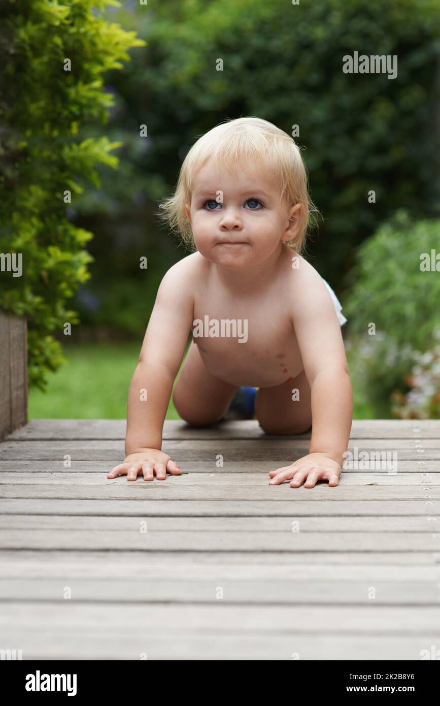 Toddler crawling outside yard hi-res stock photography and images - Alamy