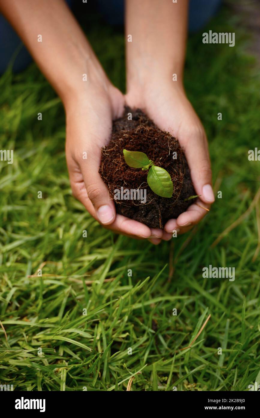 Caring about nature hi-res stock photography and images - Alamy