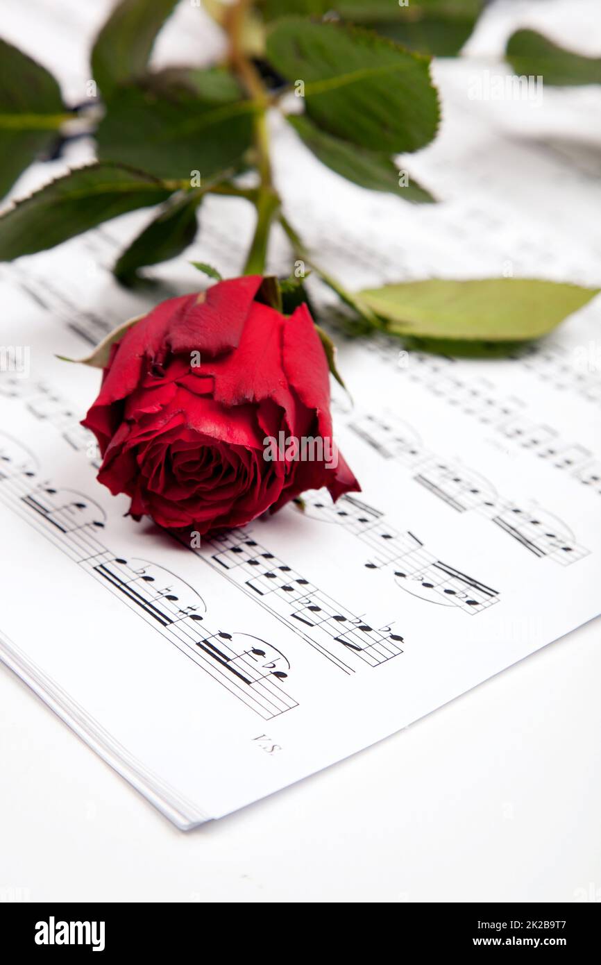 Musical note rose hi-res stock photography and images - Alamy