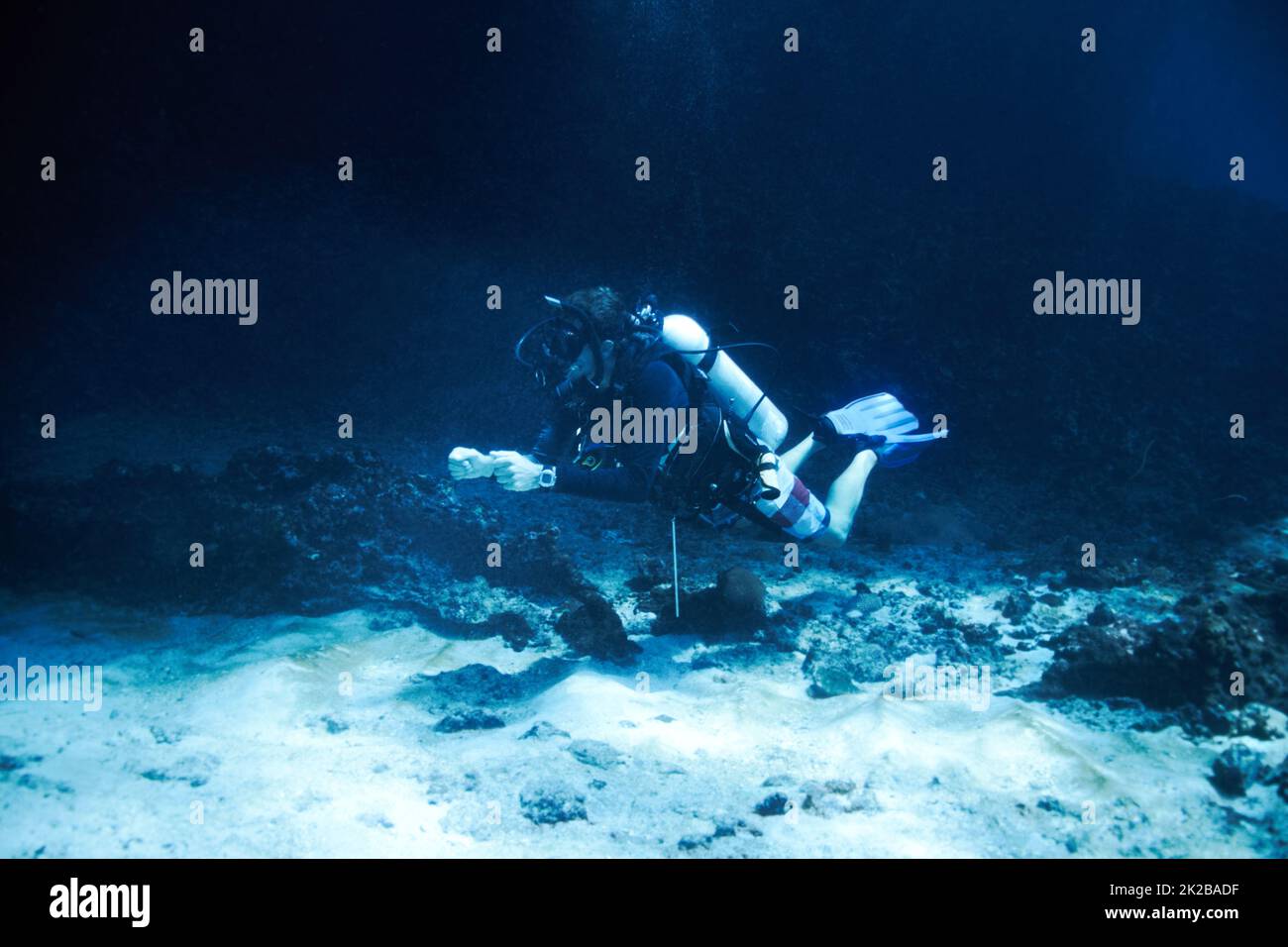 Life at the bottom of the ocean hi-res stock photography and images - Alamy