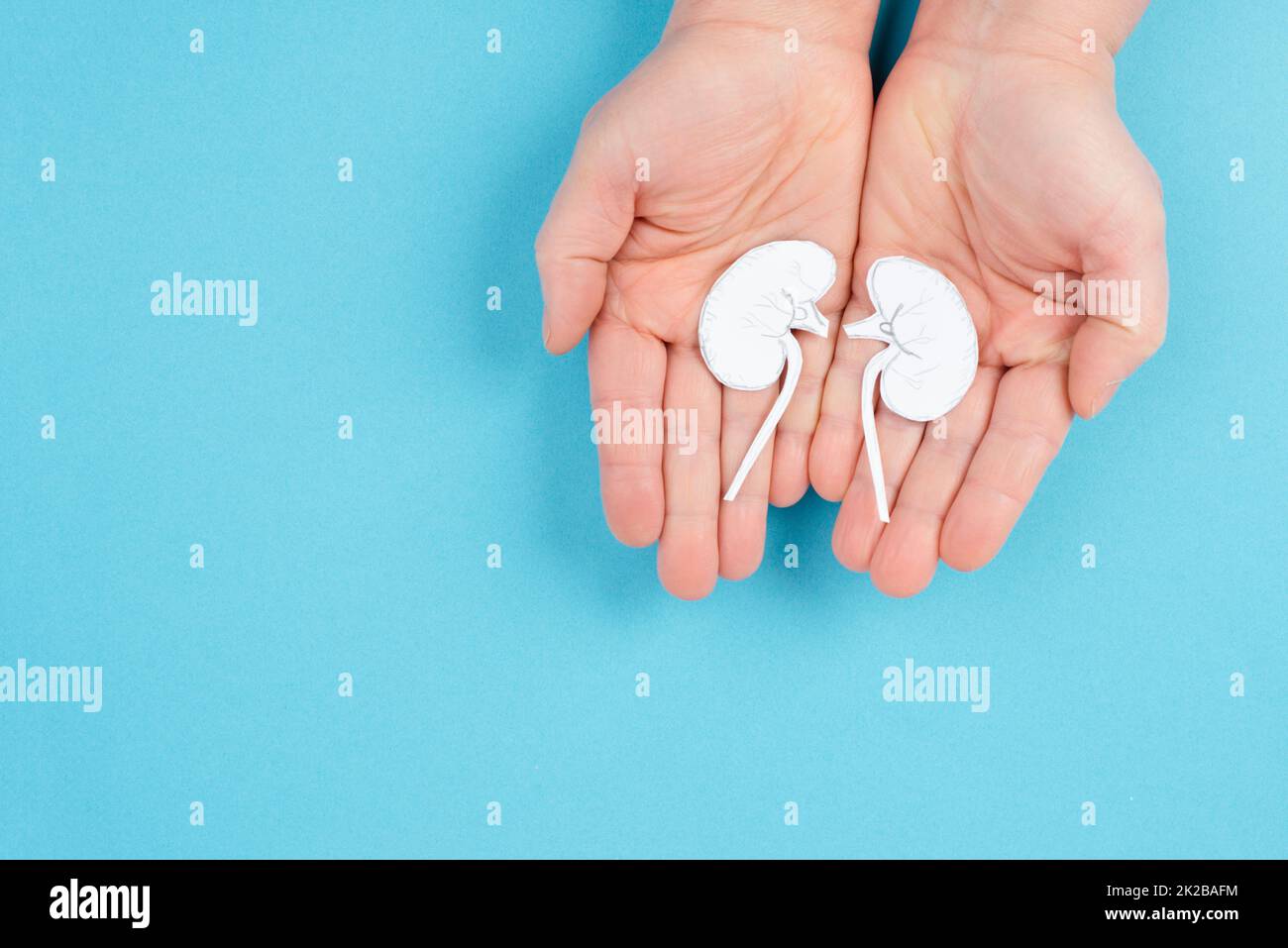 Hands holding a kidney, paper cut out, world kidney day, health ...