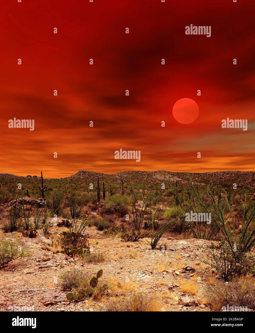 Sonora Desert Arizona Sunset Stock Photo - Alamy