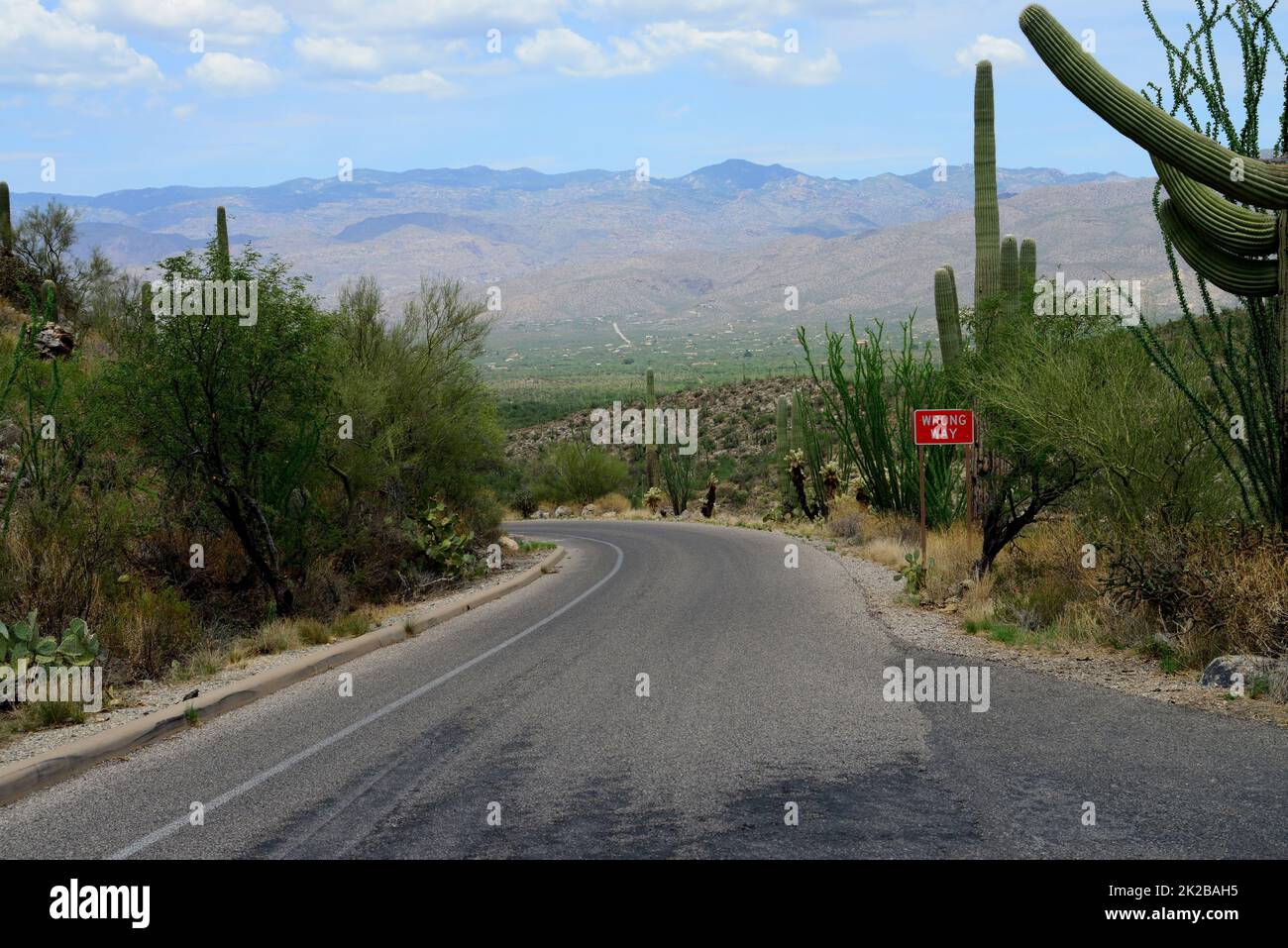 Wrong way road Stock Photo - Alamy