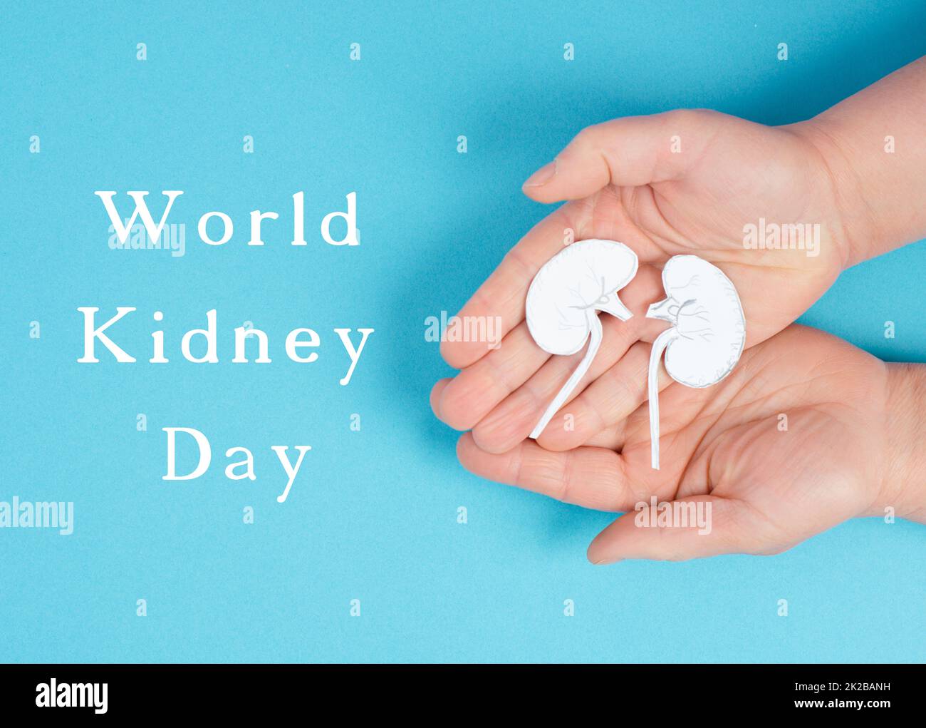 Hands holding a kidney, paper cut out, world kidney day, health ...