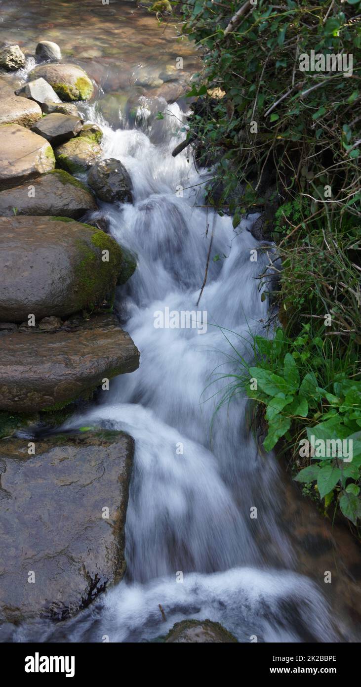 Tel dan nature reserve israel hi-res stock photography and images - Alamy