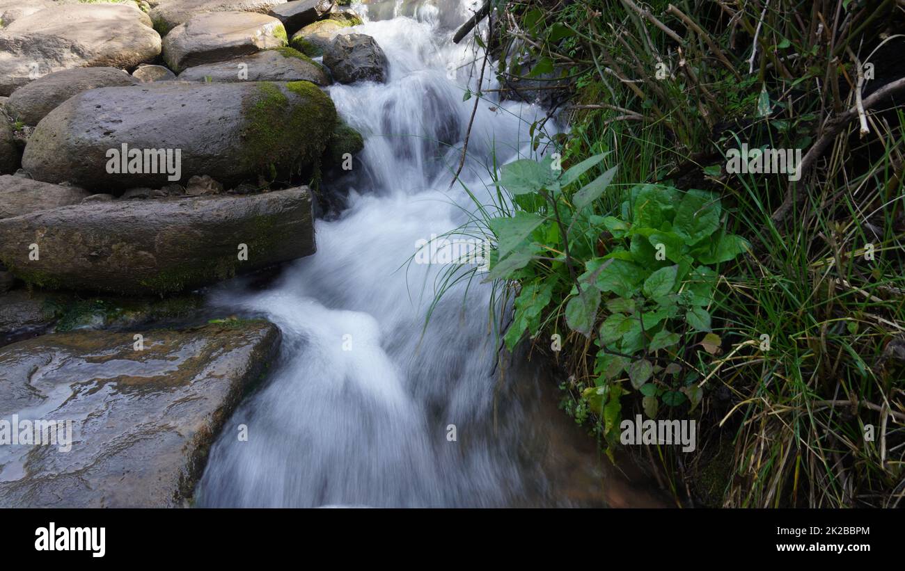 Tel dan nature reserve israel hi-res stock photography and images - Alamy