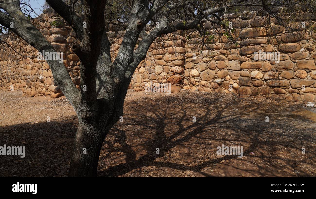 Ancient stone wall. An old wall with beautiful masonry in Tel Dan ...