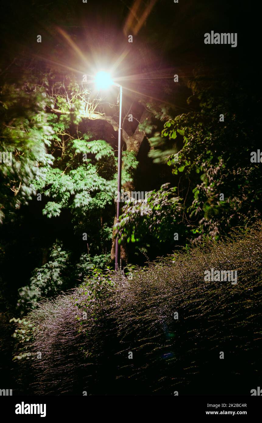 Light pole in the dark night Stock Photo - Alamy