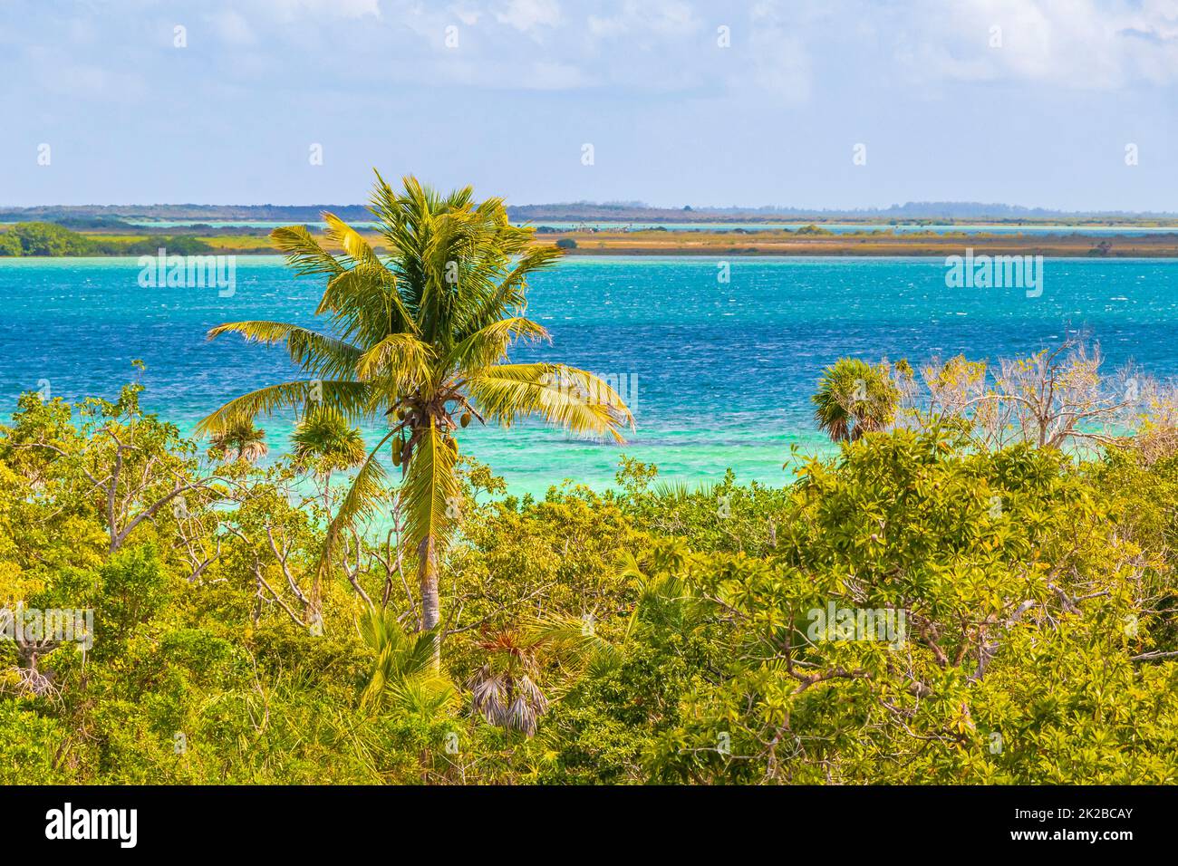 Muyil Lagoon panorama view in tropical jungle of amazing Mexico Stock ...