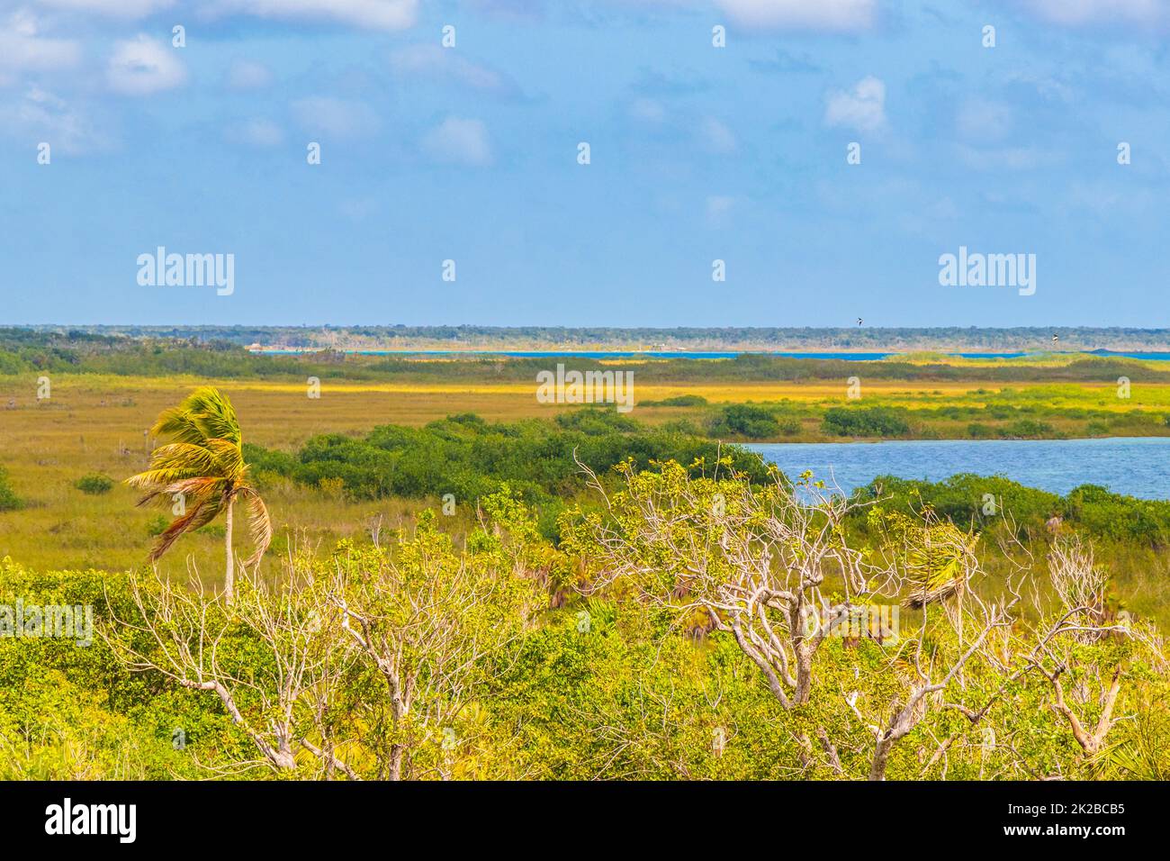 Muyil Lagoon panorama view in tropical jungle of amazing Mexico Stock ...