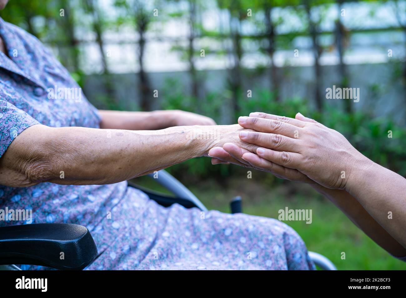Holding hands Asian senior or elderly old lady woman patient with love, care, encourage and ...