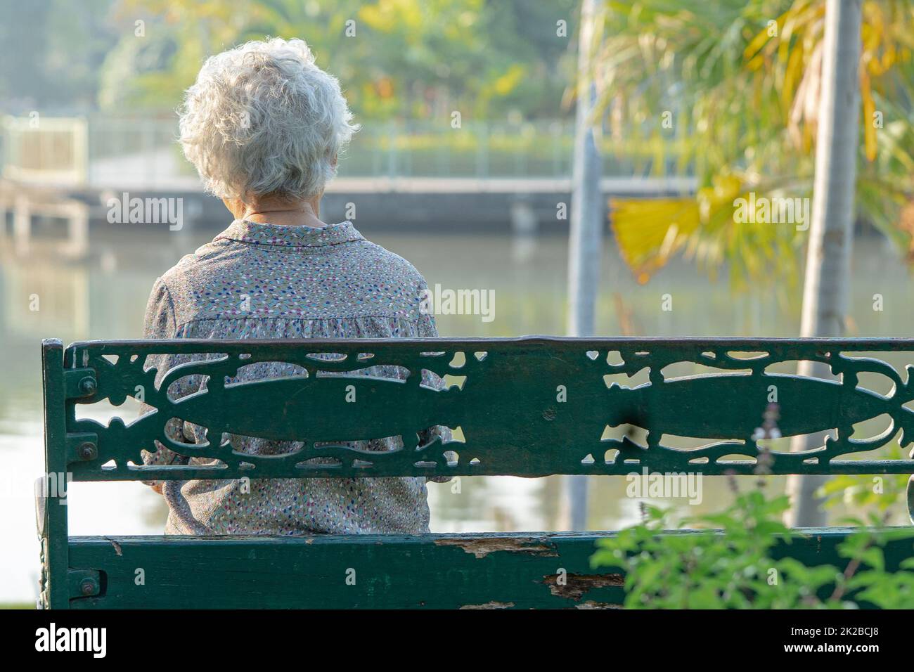 Asian elderly woman depressed and sad sitting back on bench in autumn ...