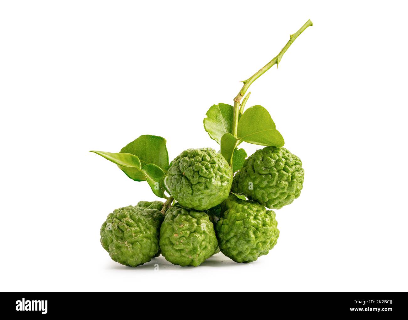 Fresh bergamot or kaffir lime with leaf isolate on white background ...