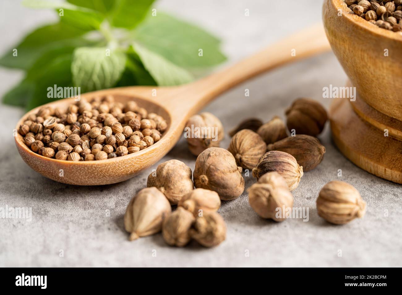 Coriander and siam cardamom (Amomum krervanh Pierre), Asia dried spices ...