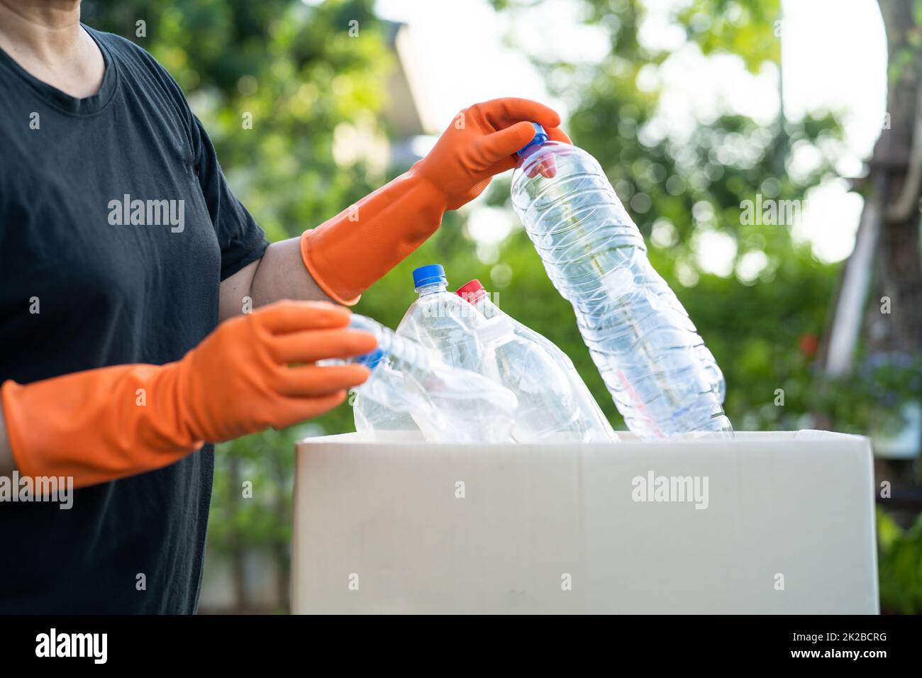 Asian woman volunteer carry water plastic bottles into garbage box trash in park, recycle waste ...