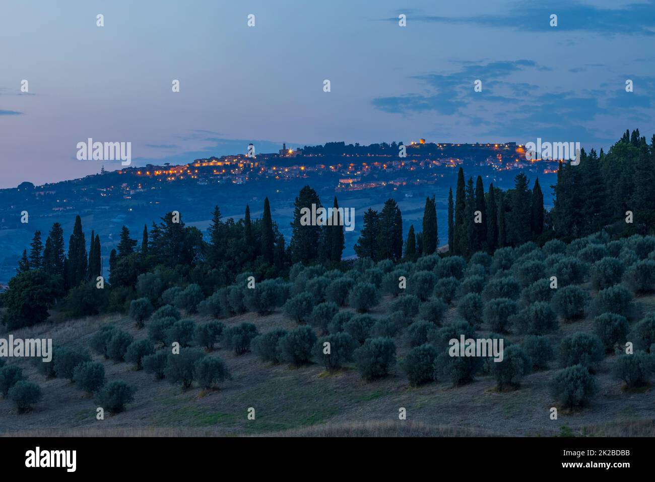 Olive tree at night hi-res stock photography and images - Alamy