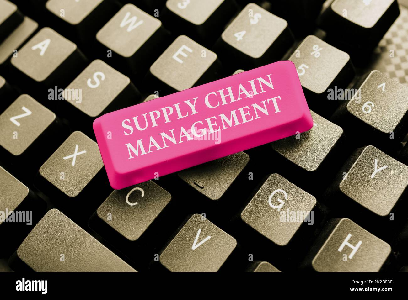 Conceptual caption Supply Chain Management. Business overview Aspects ... Conceptual caption Supply Chain Management. Business overview Aspects ...