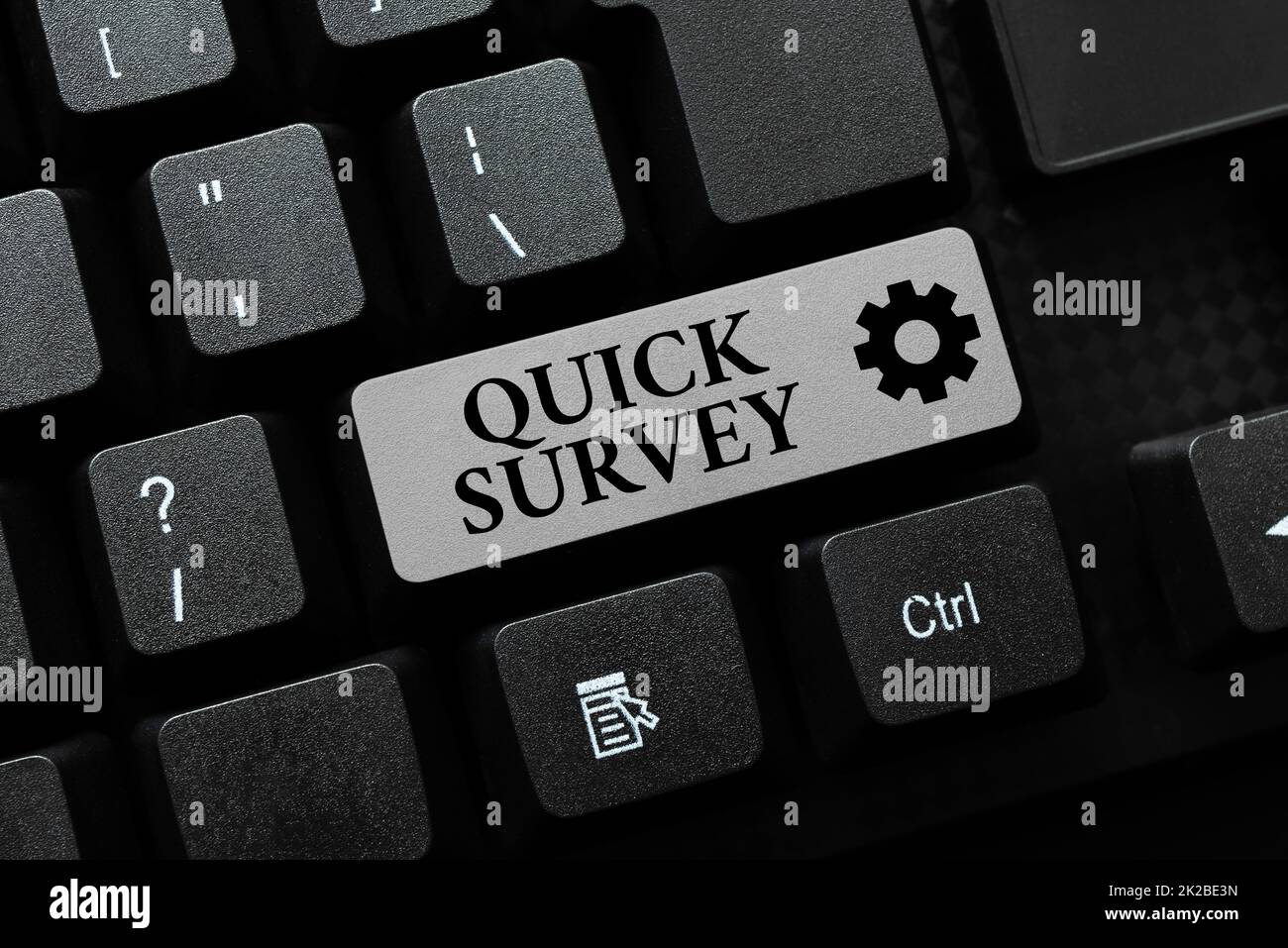 Text Showing Inspiration Quick Survey Word Written On The Research