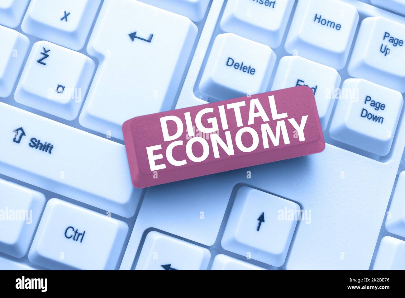 Conceptual display Digital Economy. Business overview advancement of ... Conceptual display Digital Economy. Business overview advancement of ...