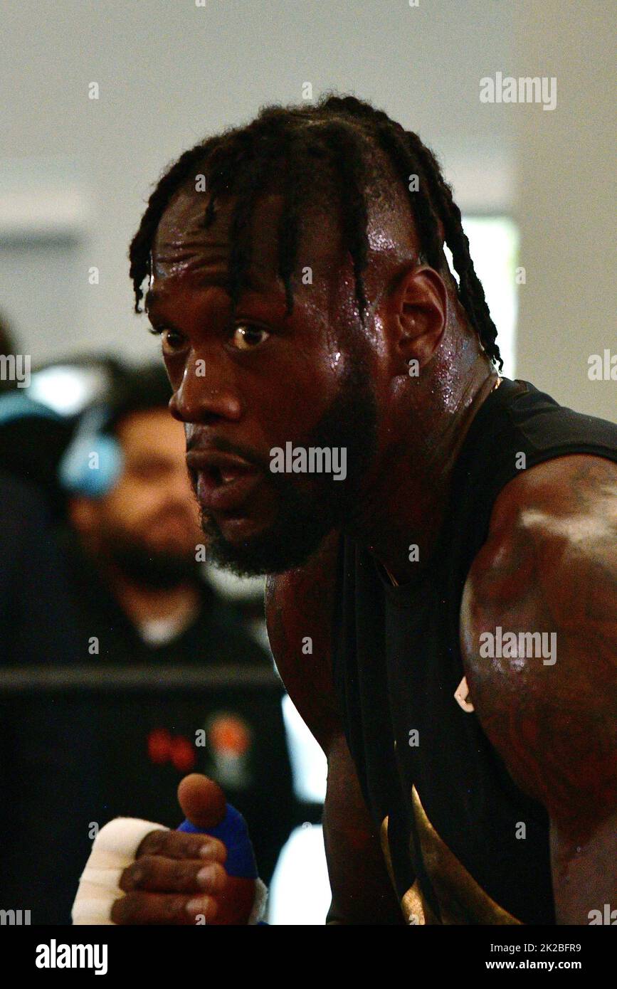 Las Vegas, Nevada, USA. 22nd Sep, 2022. Deontay Wilder media day ...