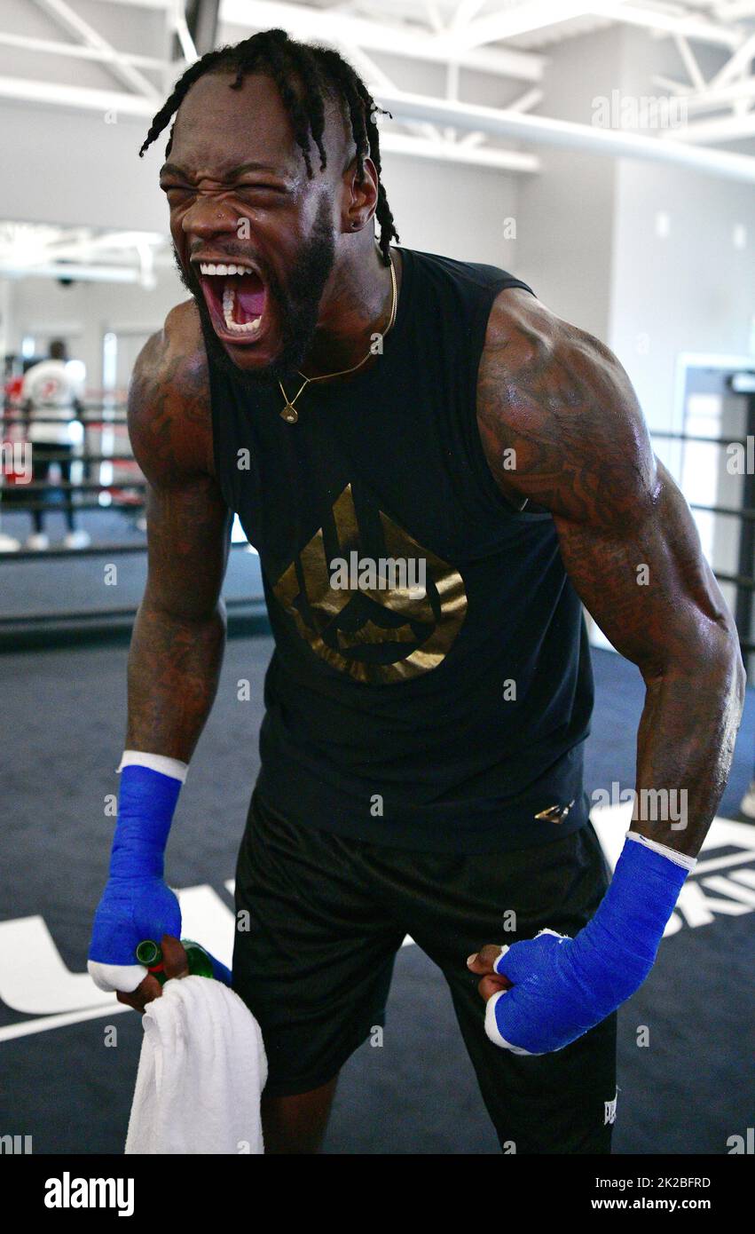 Las Vegas, Nevada, USA. 22nd Sep, 2022. Deontay Wilder media day ...