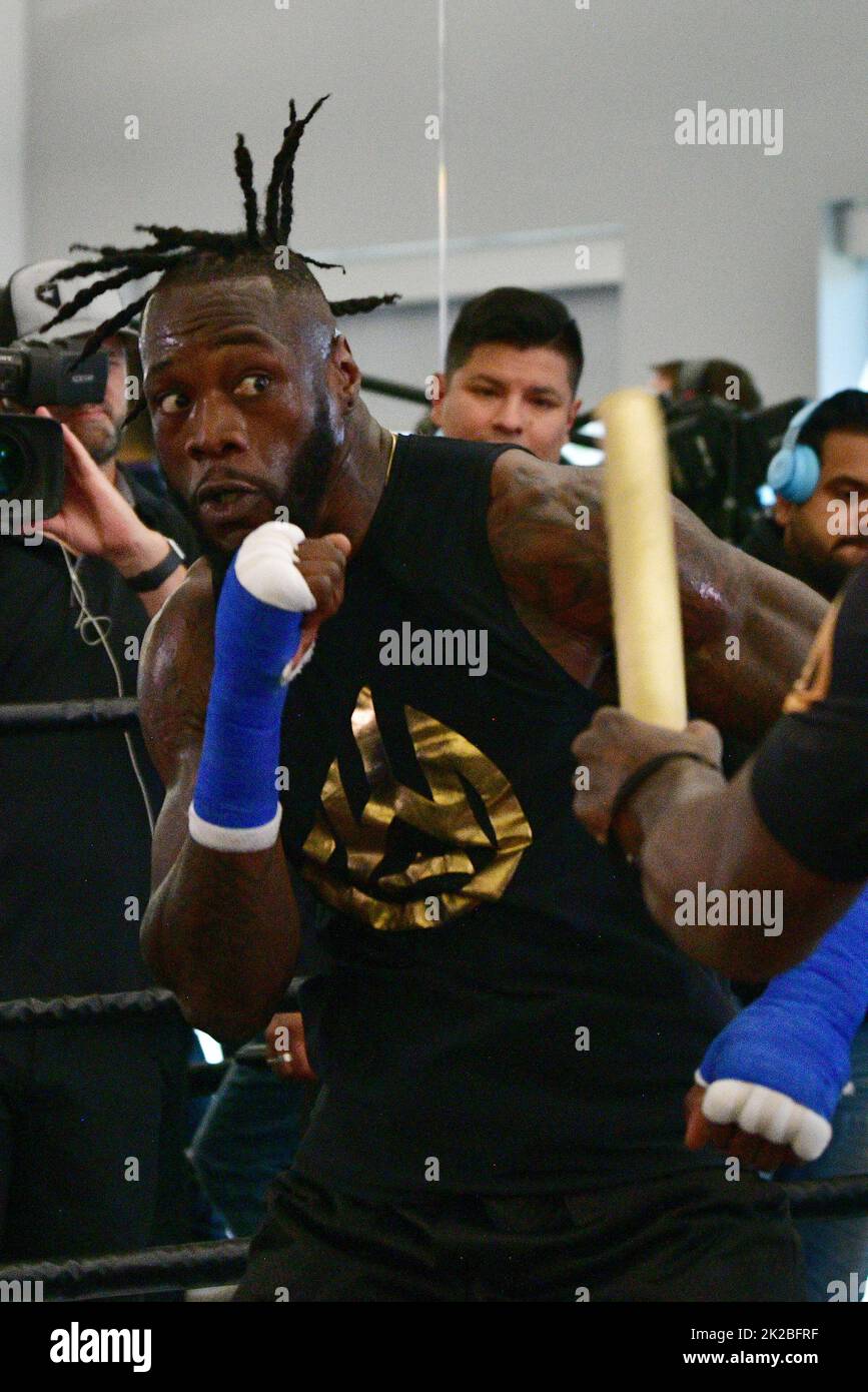 Las Vegas, Nevada, USA. 22nd Sep, 2022. Deontay Wilder media day ...