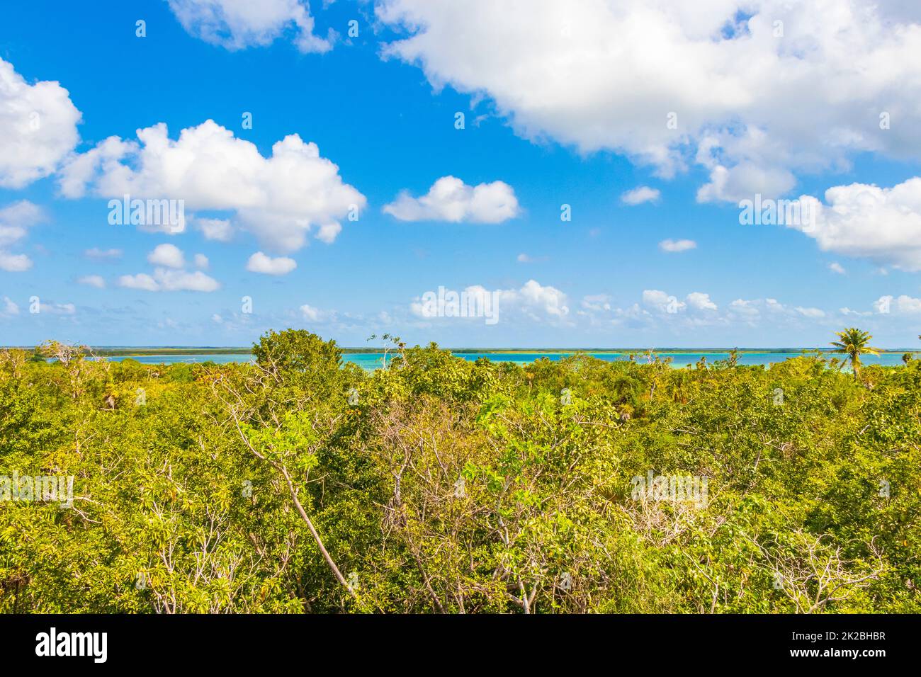 Muyil Lagoon panorama view in tropical jungle of amazing Mexico Stock ...