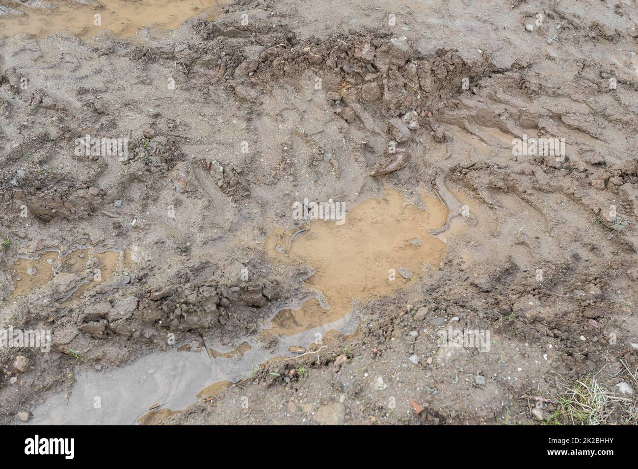 Texture mud wet dirt puddle hi-res stock photography and images - Alamy
