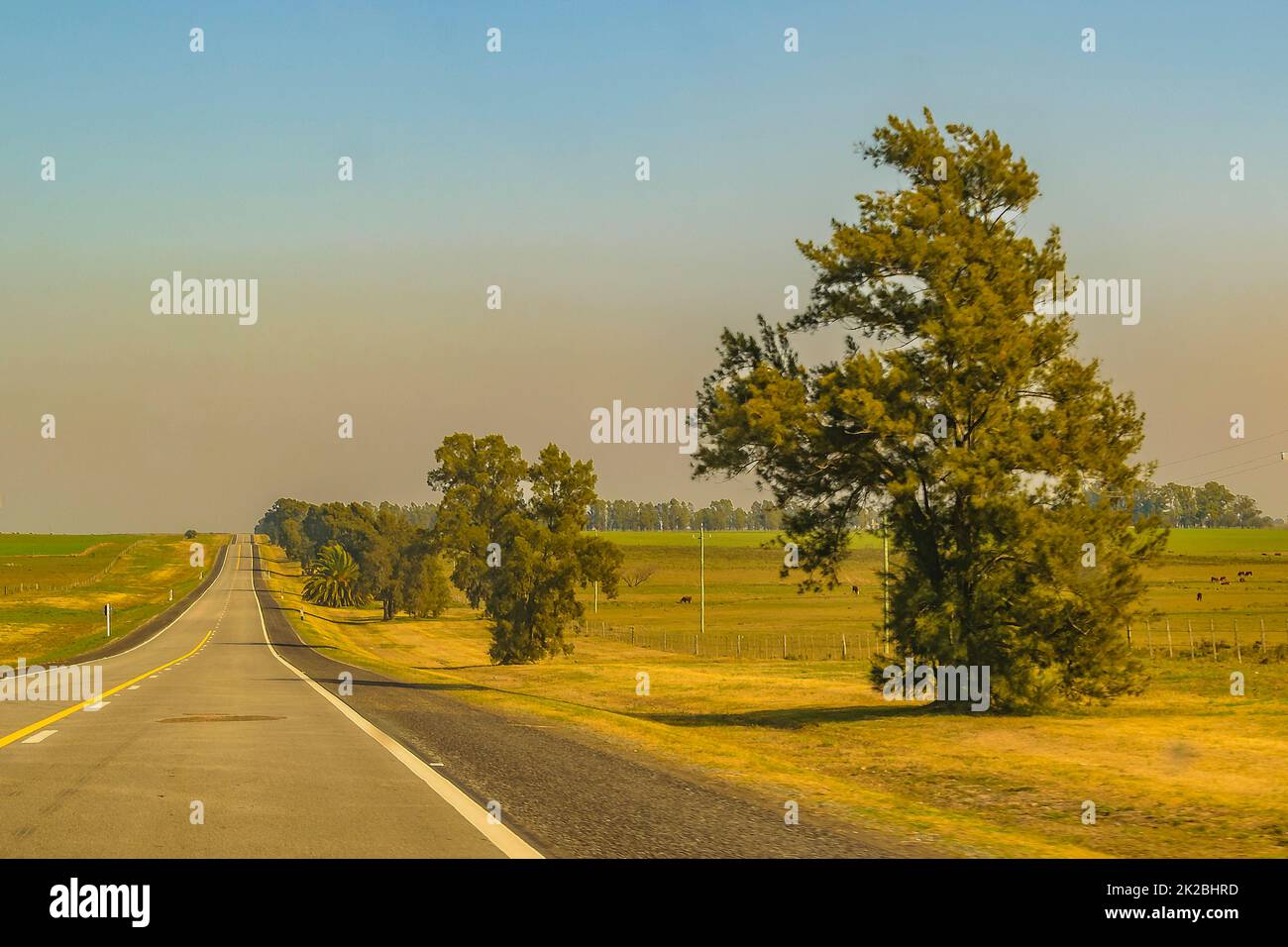 Highway Rural Landscape, Uruguay Stock Photo - Alamy