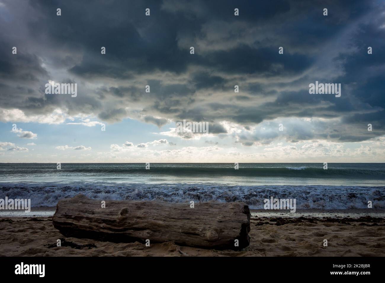 Tree trunk on a beach and cloudy seascape at sunset Stock Photo - Alamy