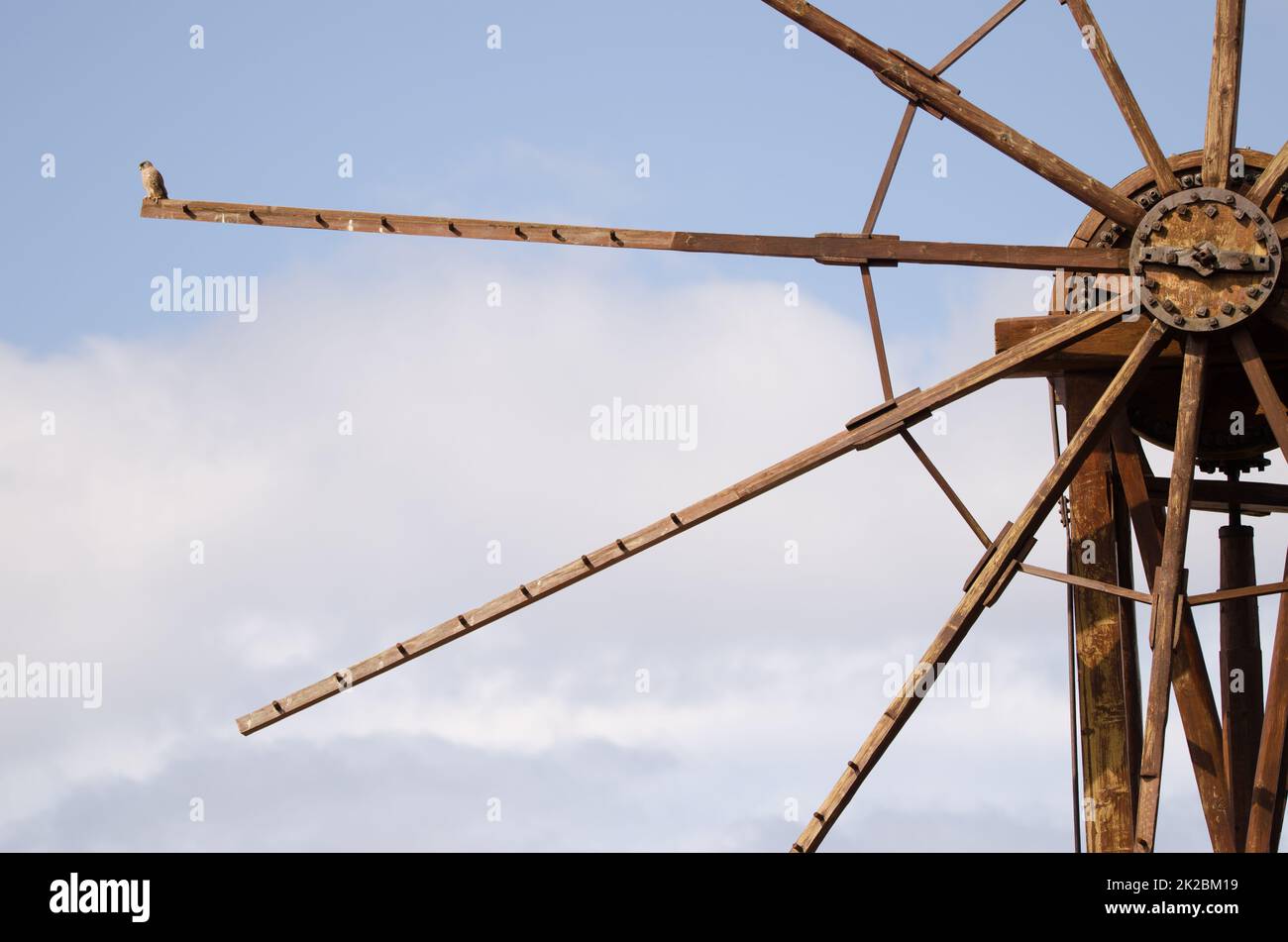 Common kestrel perched on the blade of a old windmill Stock Photo - Alamy