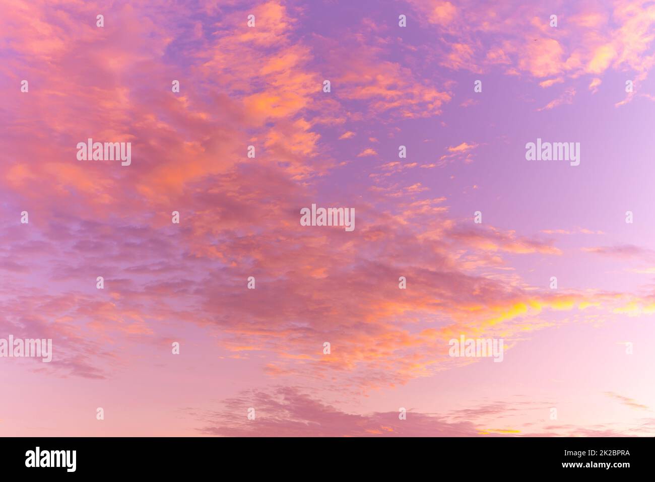 Abstract and pattern of cloud sky, Velvet violet, Trend color ...