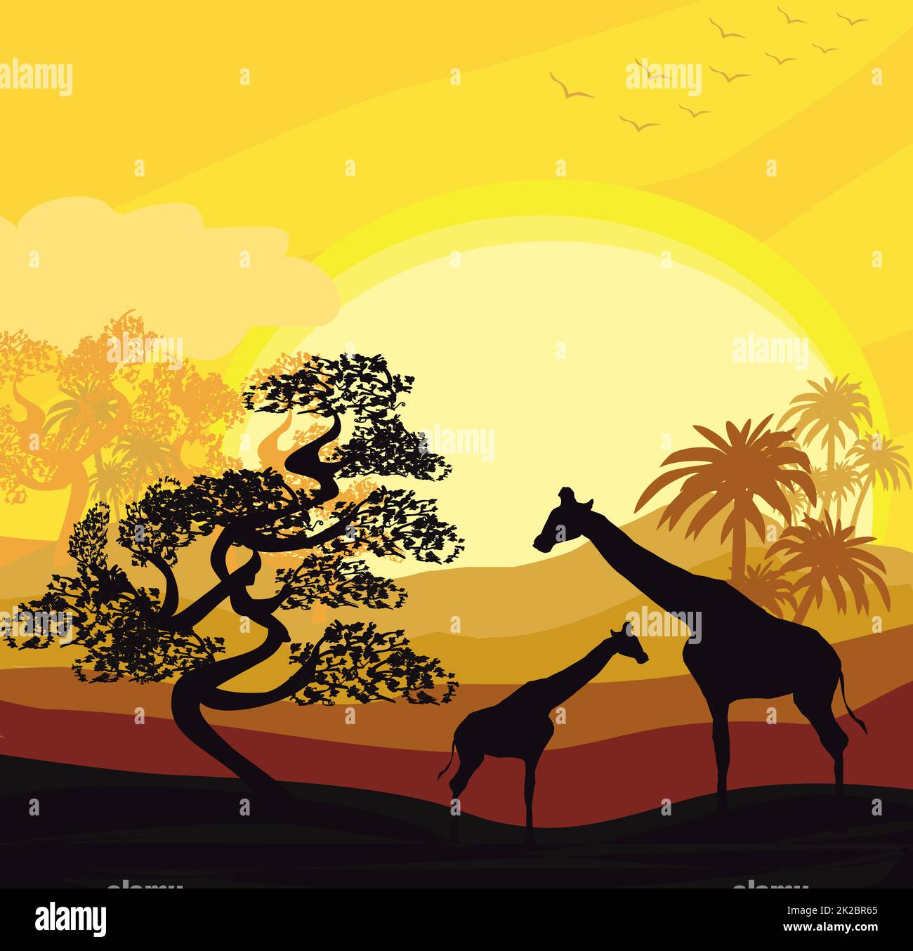 Cartoon African Savannah Card Poster - giraffes during sunset Stock ...