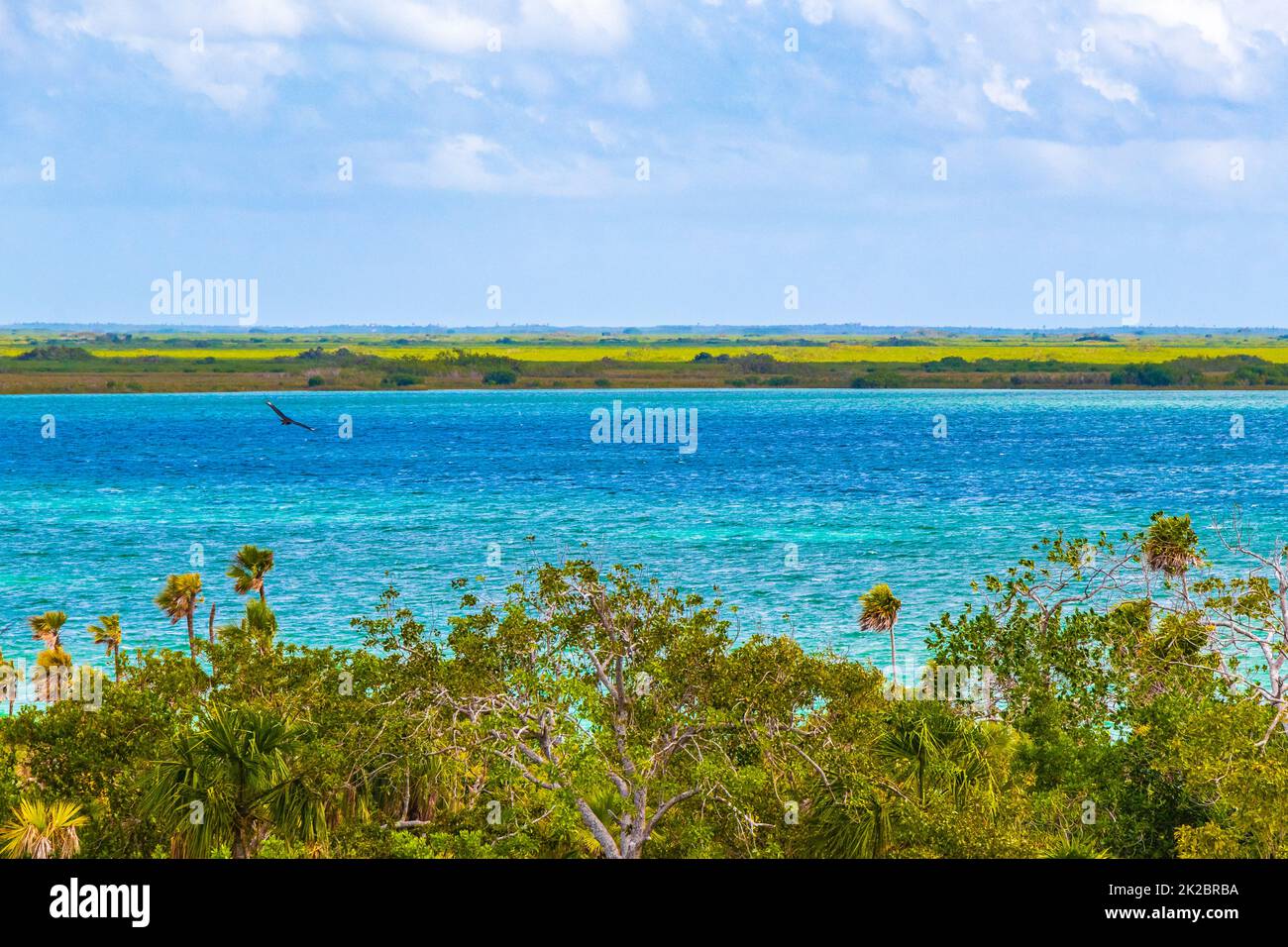 Muyil Lagoon panorama view in tropical jungle of amazing Mexico Stock ...