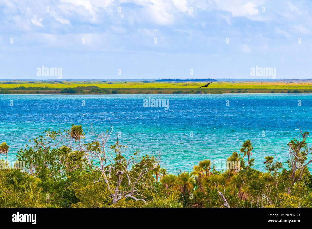 Muyil Lagoon panorama view in tropical jungle of amazing Mexico Stock ...