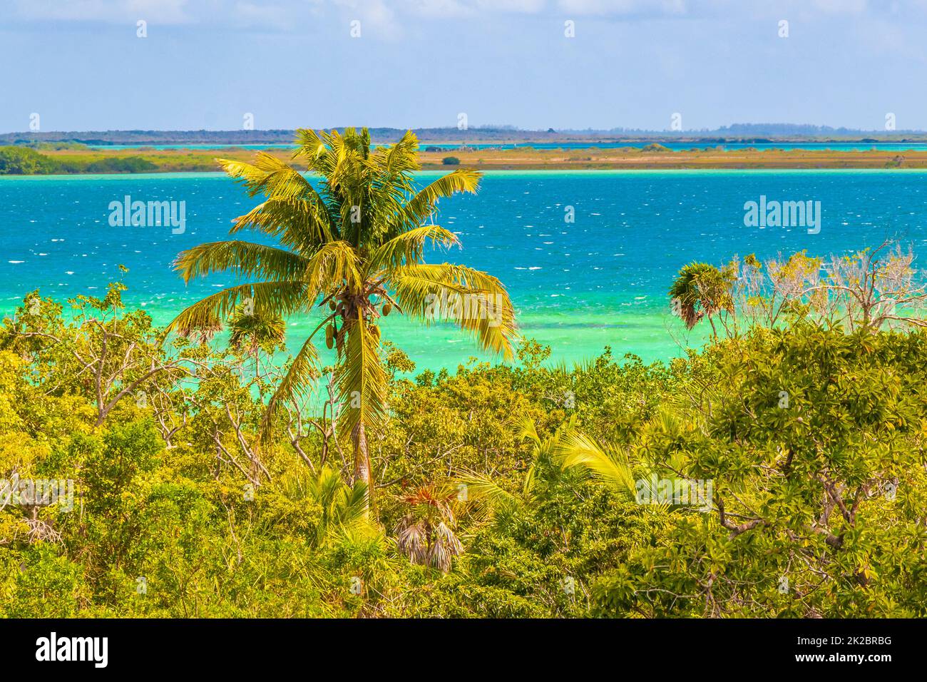 Muyil Lagoon panorama view in tropical jungle of amazing Mexico Stock ...