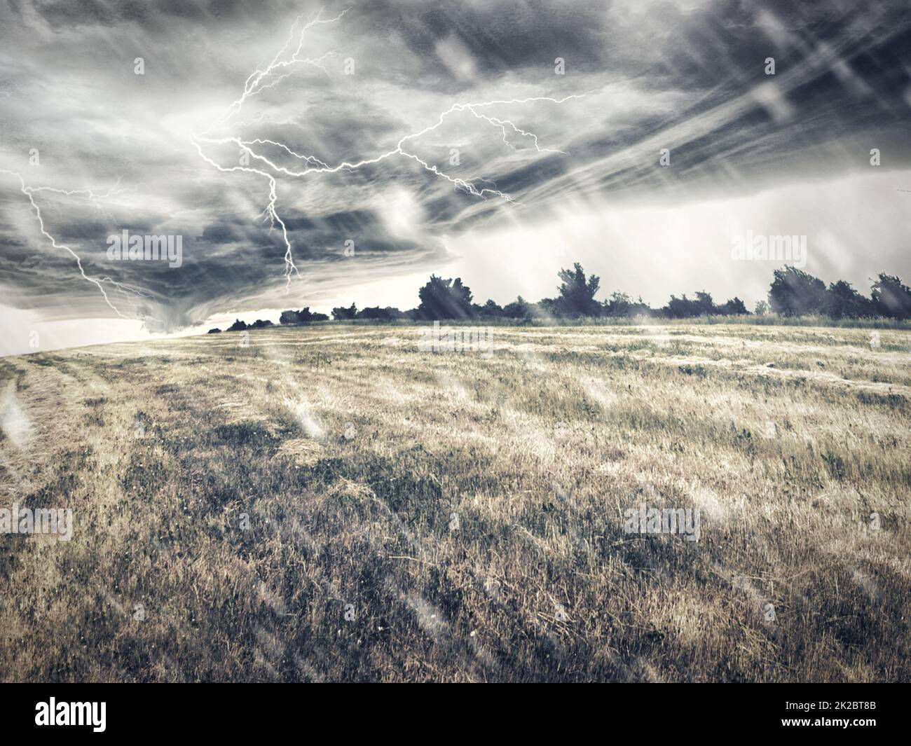 Nature unleashes itself. Illustrated landscape of a field under a ...