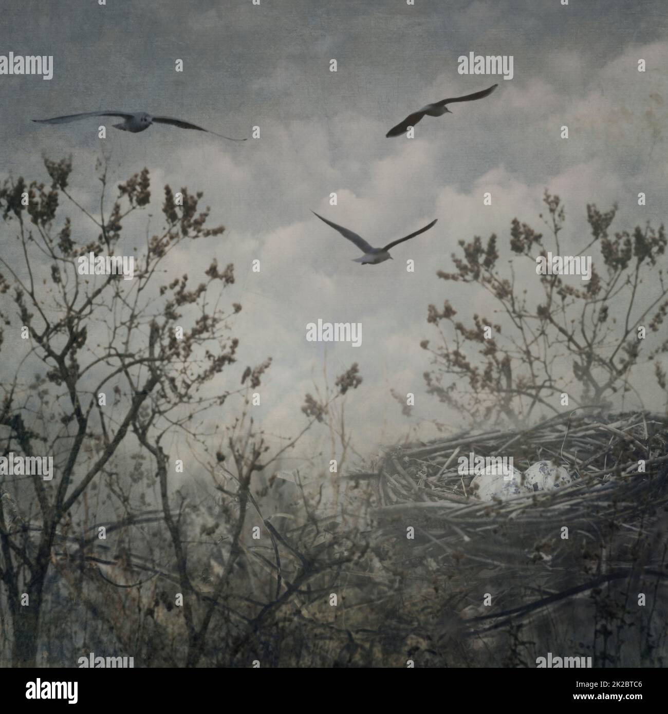 Artistic nest hi-res stock photography and images - Alamy