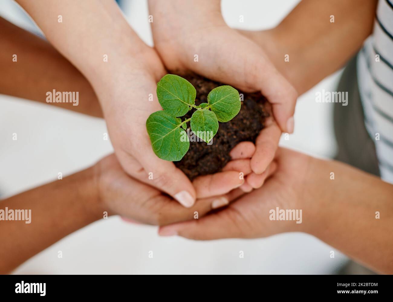 Plants office interior hi-res stock photography and images - Alamy