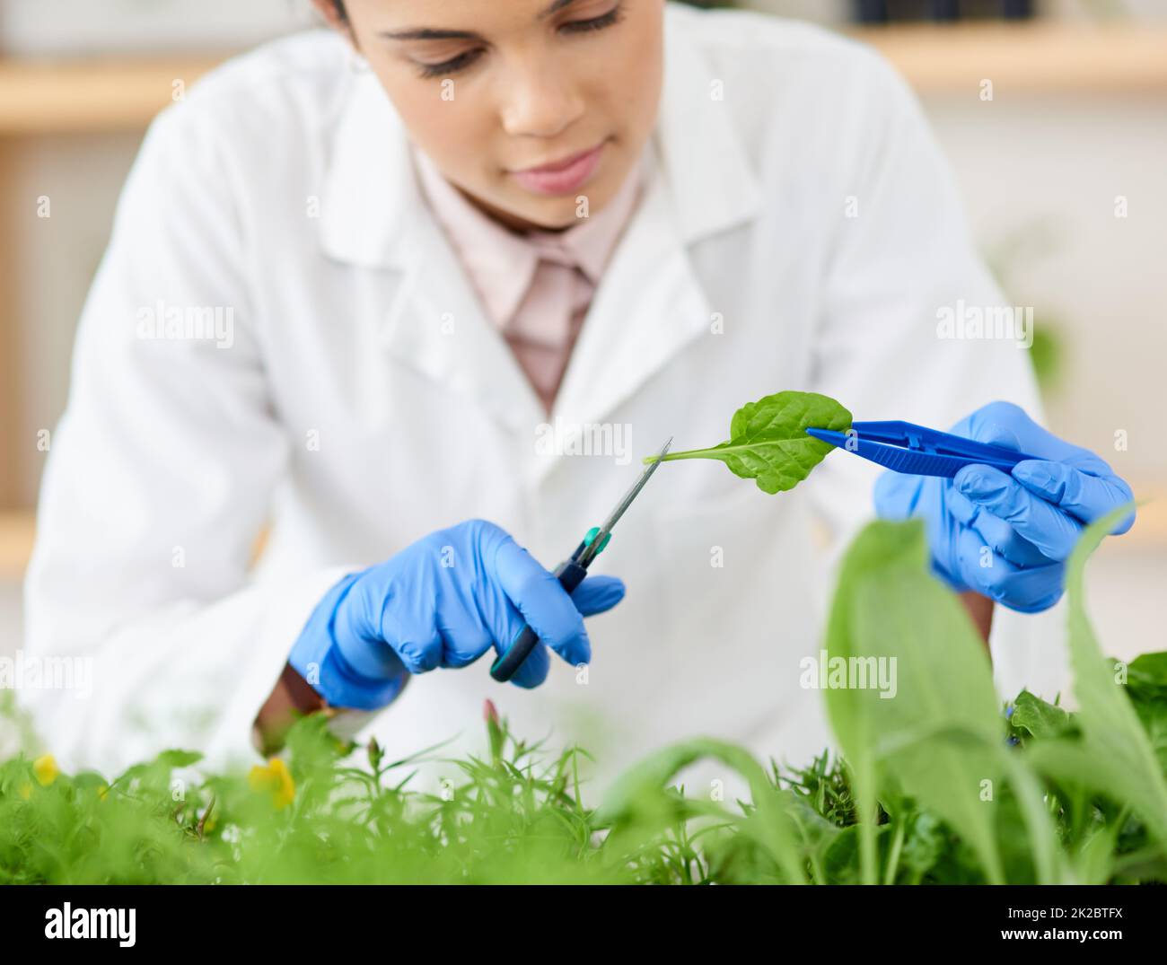 Exclusive trim hi-res stock photography and images - Alamy