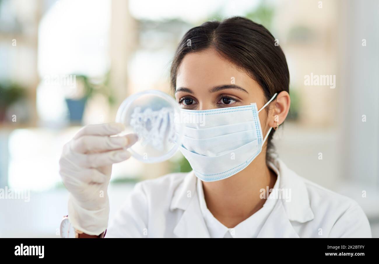 Shes noticed something interesting.... Shot of a young scientist ...